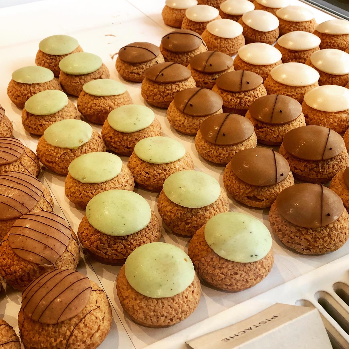 Popelini – Choux (Paris) – Quand est-ce qu'on mange?