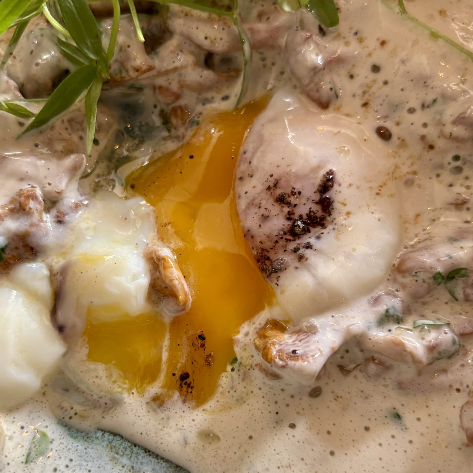 NAU (Lausanne) – Quand est-ce qu'on mange?
